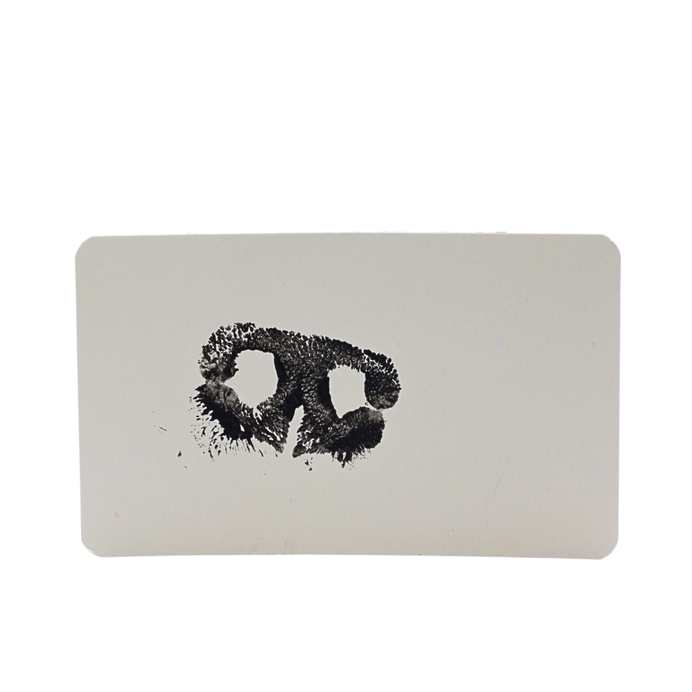 Ink Nose Print – Amare Pet Cremation
