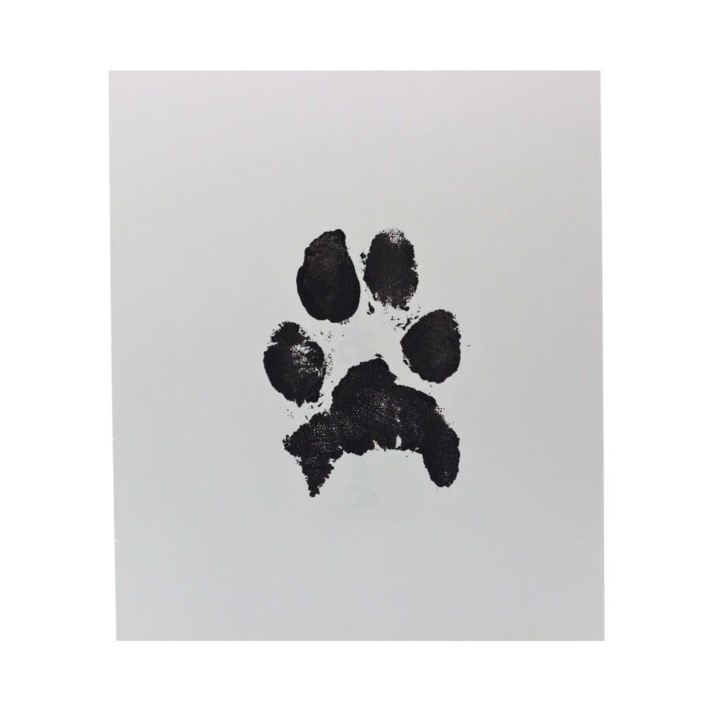Ink Paw Print – Amare Pet Cremation