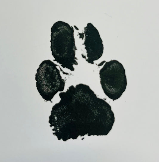 Paw Print Keepsakes – Amare Pet Cremation