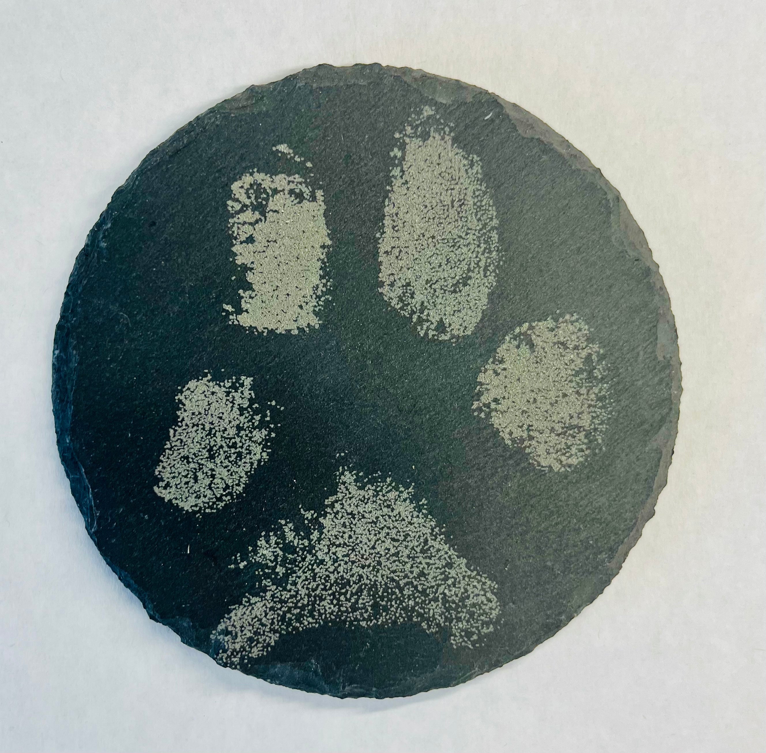Round Slate Engraved Paw Print – Amare Pet Cremation